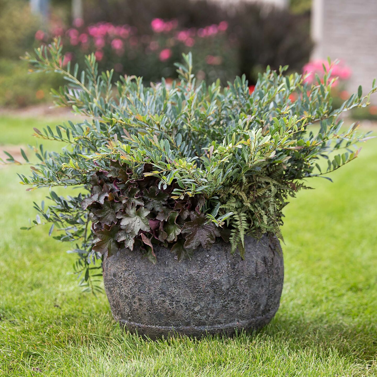 Winter Container Prep | First Editions