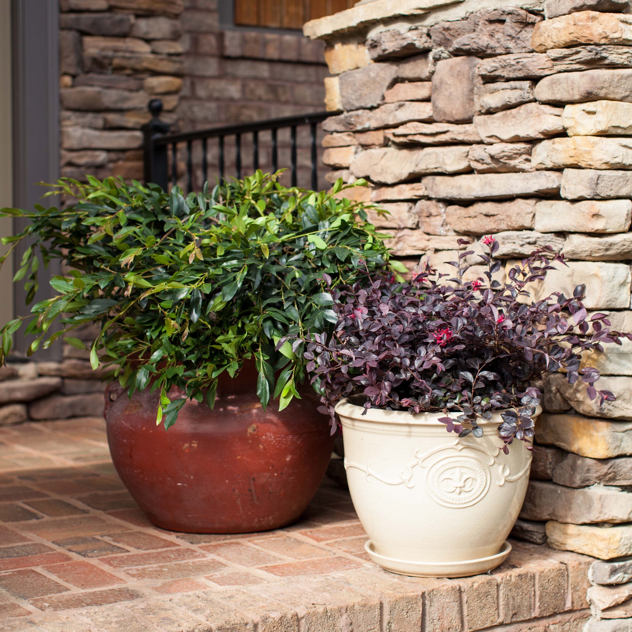 Winter Container Prep | First Editions