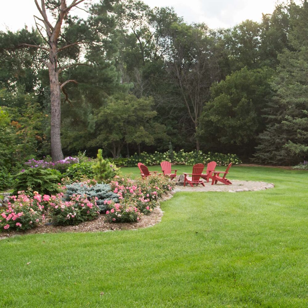 Spring Planning Your Garden for 2025 | First Editions