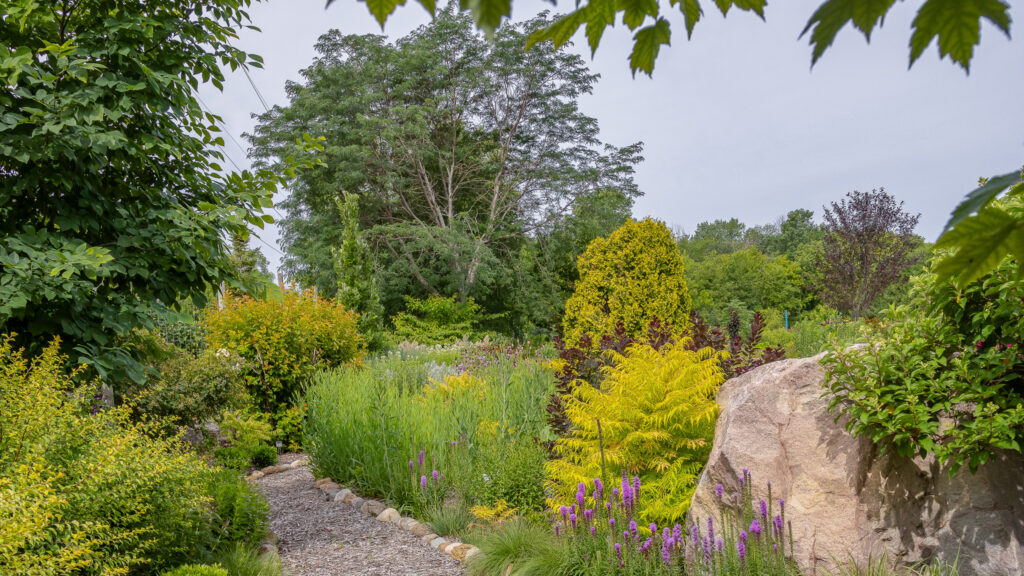 Plant Landscape Design: Tips for Transforming Any Outdoor Space into a ...