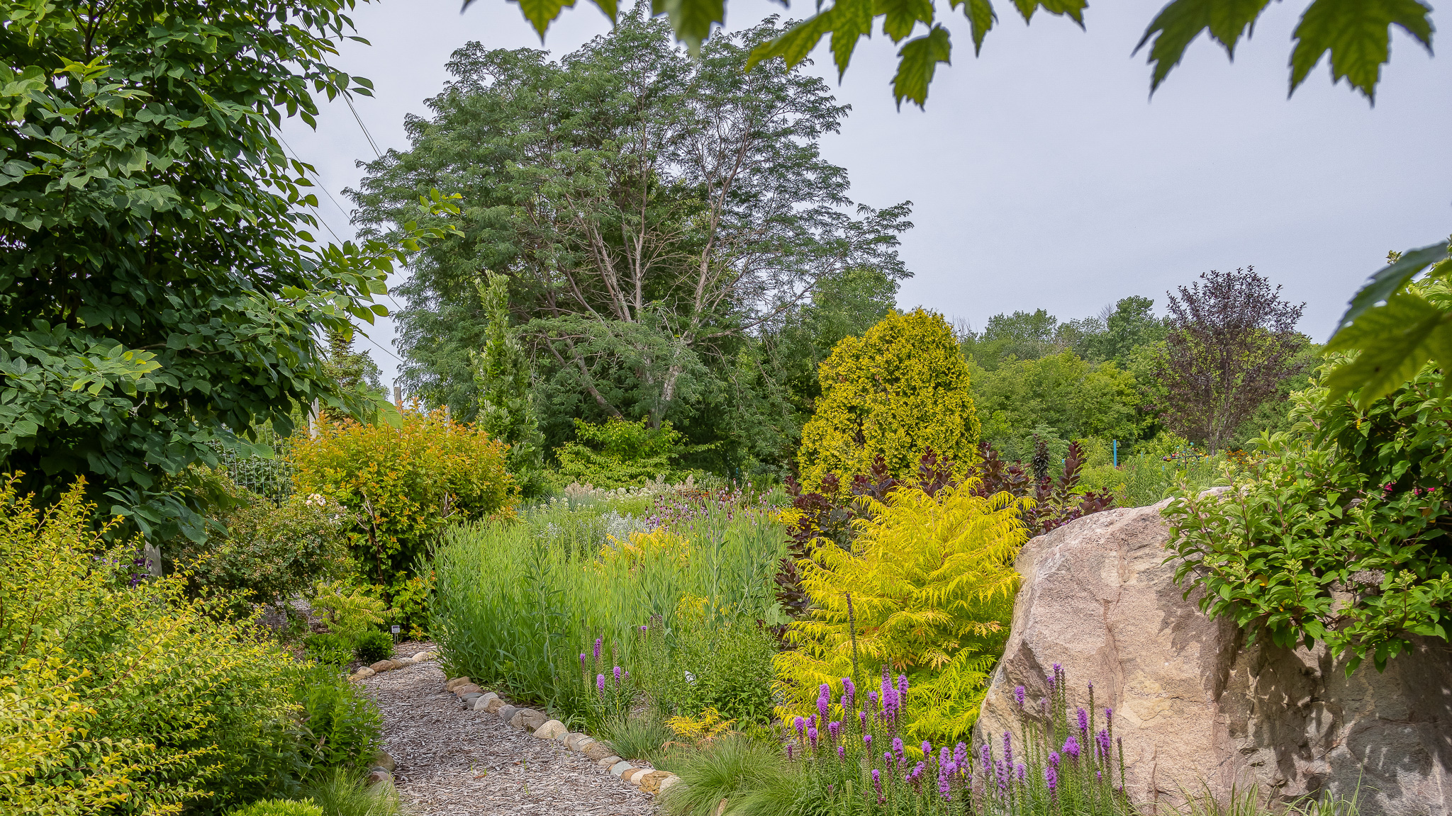 Plant Landscape Design: Tips for Transforming Any Outdoor Space into a ...