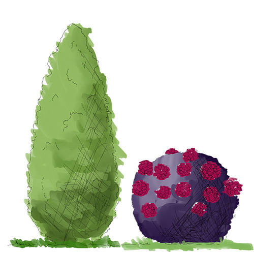 Eclipse® Bigleaf Hydrangea: Meet the New Dark Leaf Rock Star | First Editions