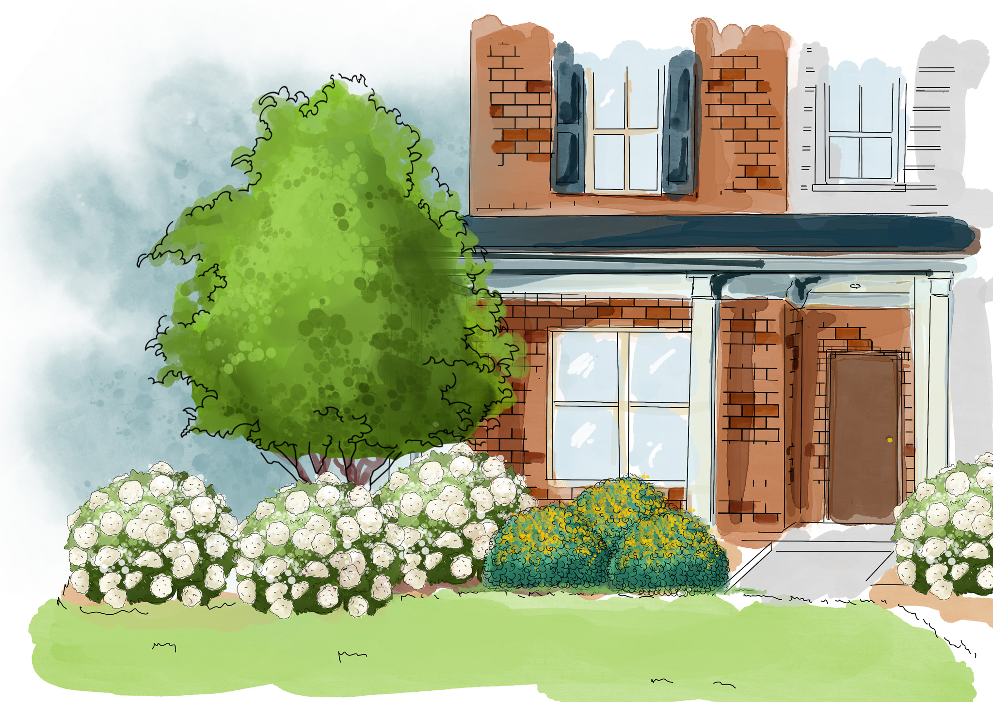 Say Hello to FlowerFull® Smooth Hydrangea, the New Hydrangea with ...