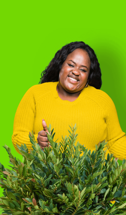 Problem Solved South | First Editions