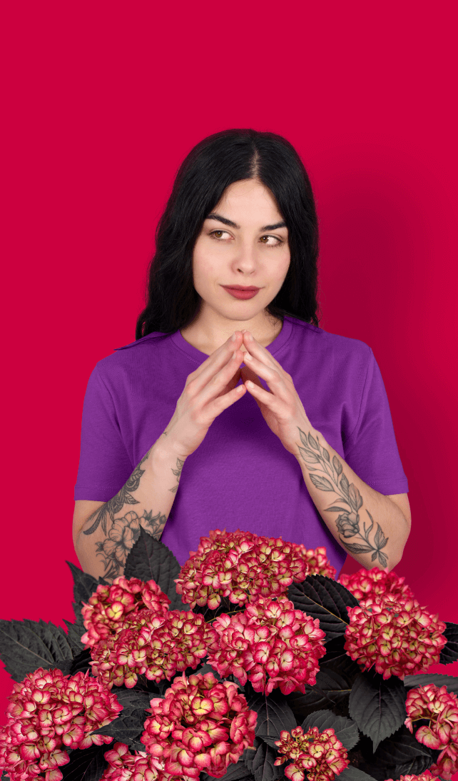 Problem Solved North | First Editions