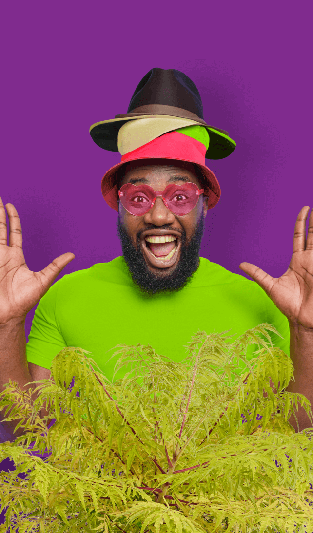 Problem Solved North | First Editions